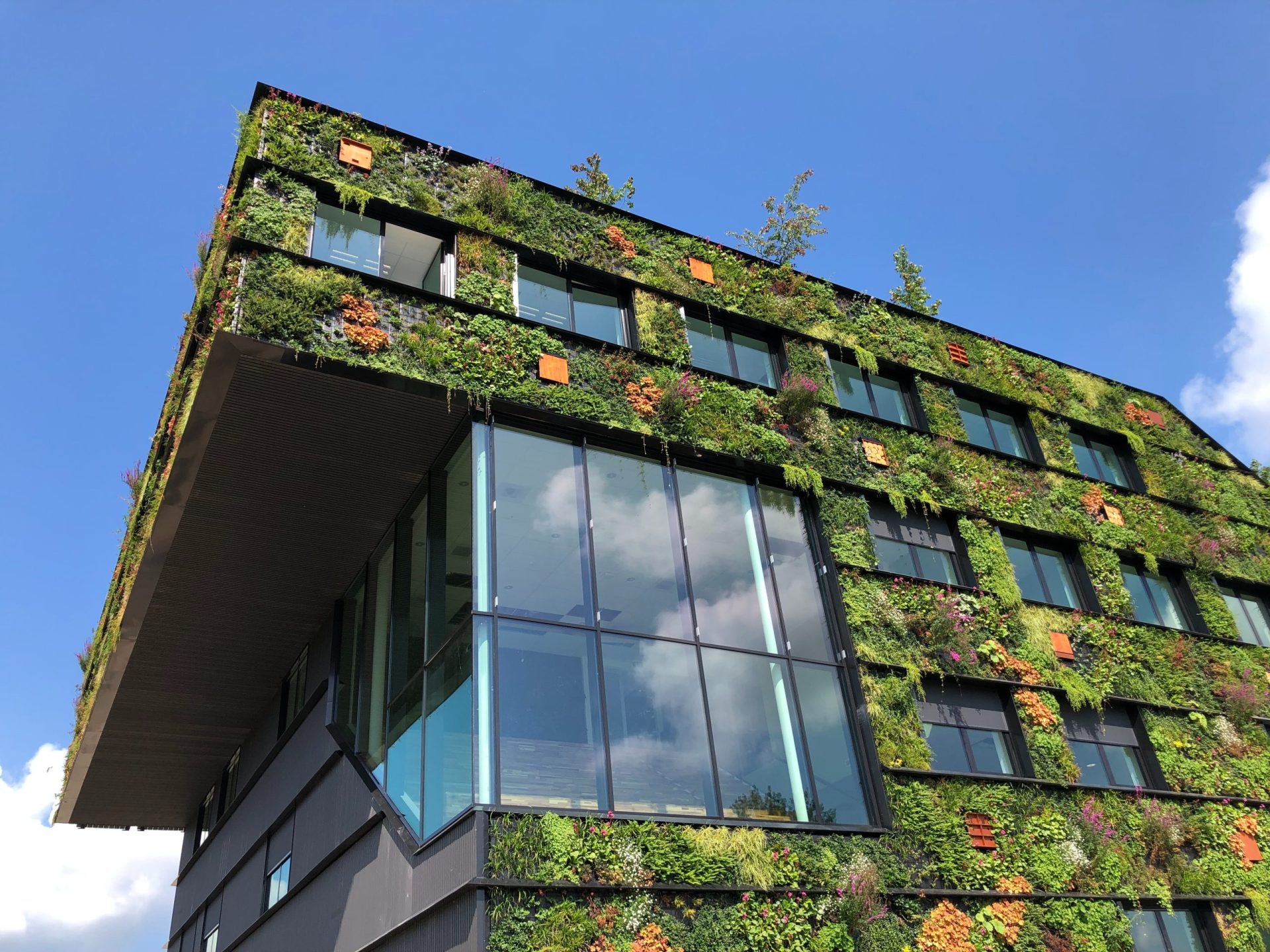 Map Impact invited to join The UK Green Building Council - Map Impact