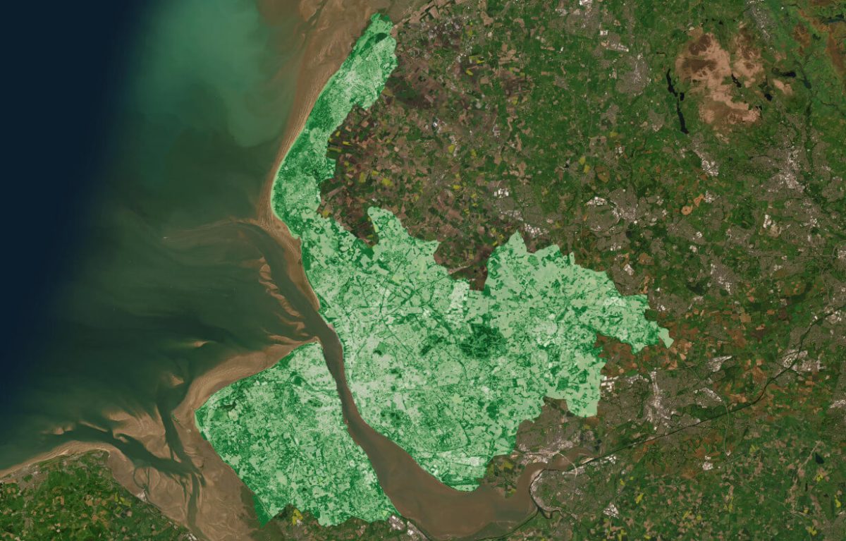 BiodiversityView by MapImpact: Enhance Ecological Insights