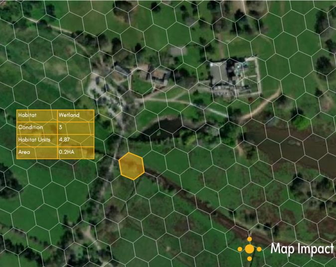 BiodiversityView by MapImpact: Enhance Ecological Insights