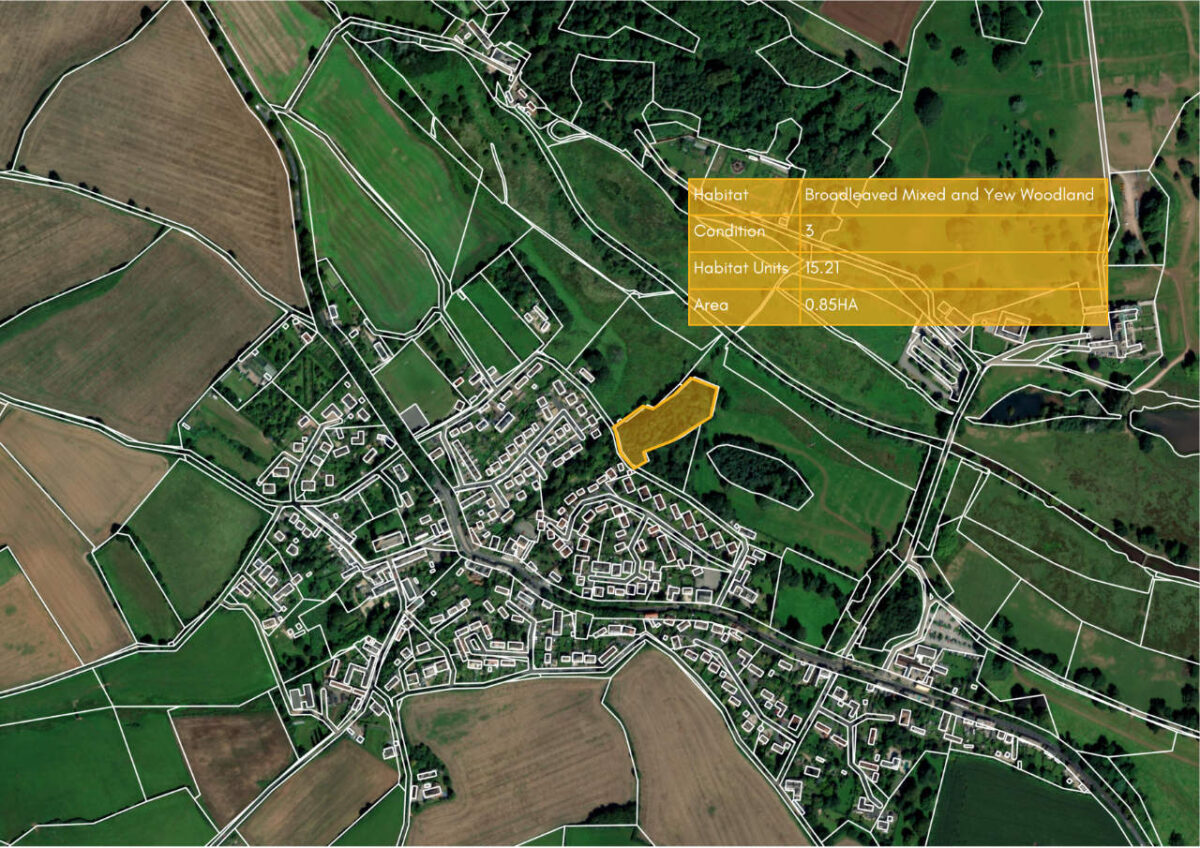Map Impact | BiodiversityView – Habitat Mapping & Assessment