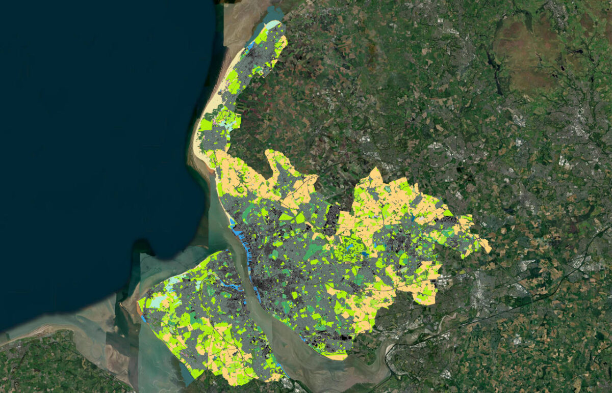 Map Impact | BiodiversityView – Habitat Mapping & Assessment